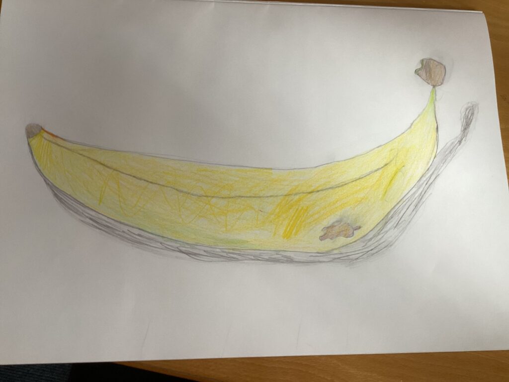 Y6 observational drawings – St Michaels Catholic Primary School, Houghton